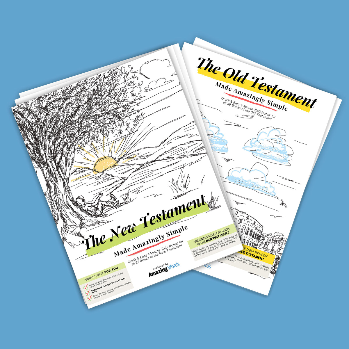 Books of The Testaments: Made Amazingly Simple (Bundle) – AmazingWords.com